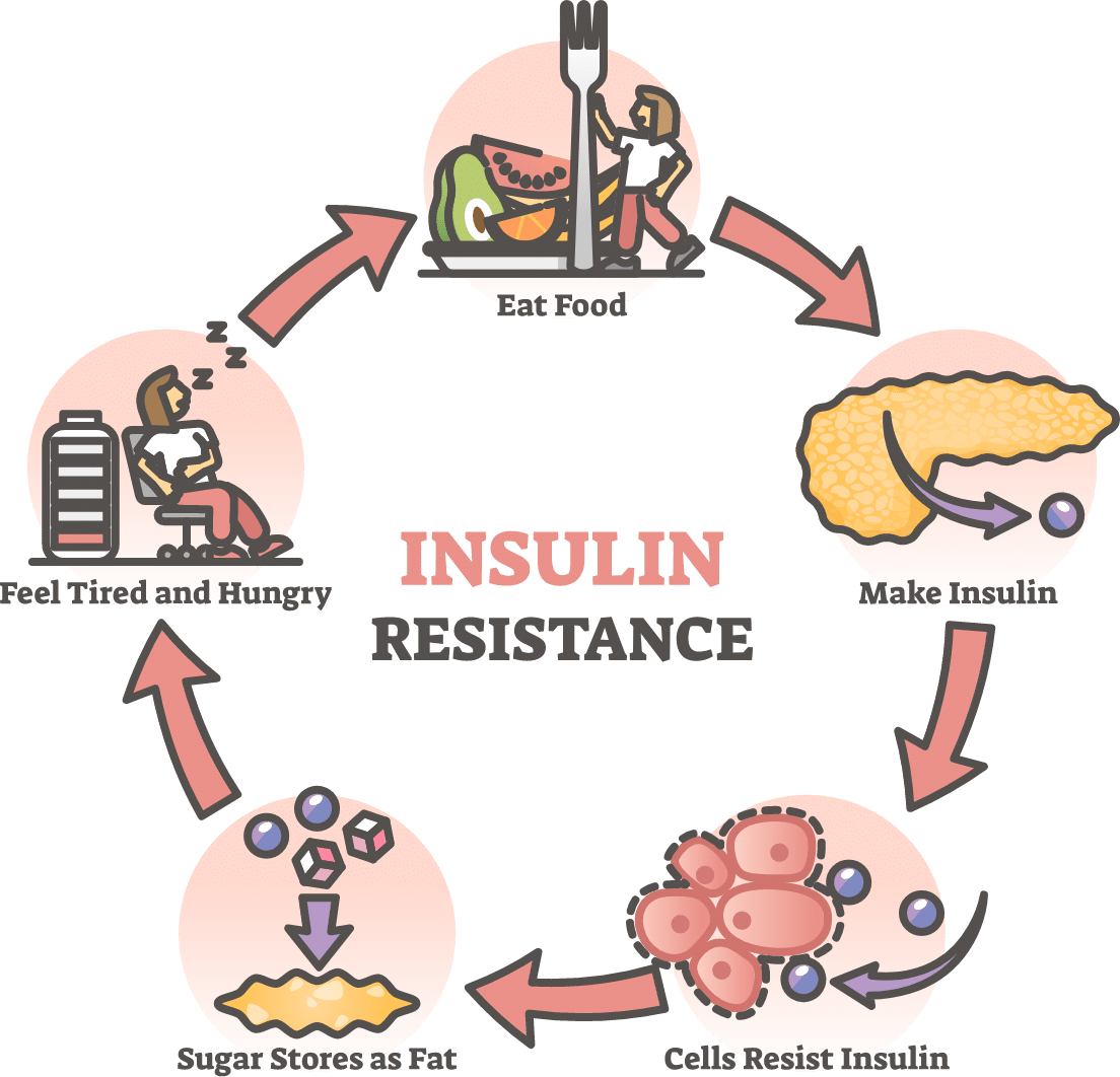 Understanding Diabetes • Insulinic of Florida